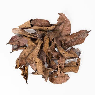 Leaf Litter - Eco Fresh World